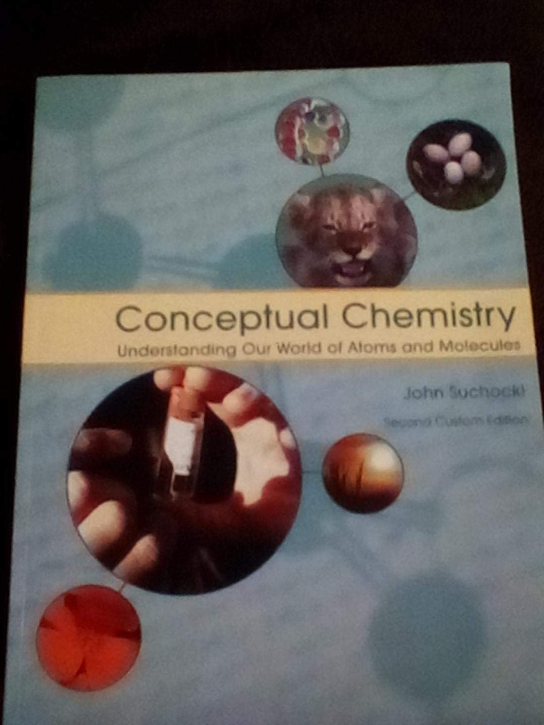 Conceptual Chemistry: Understanding Our World of Atoms and Molecules ...