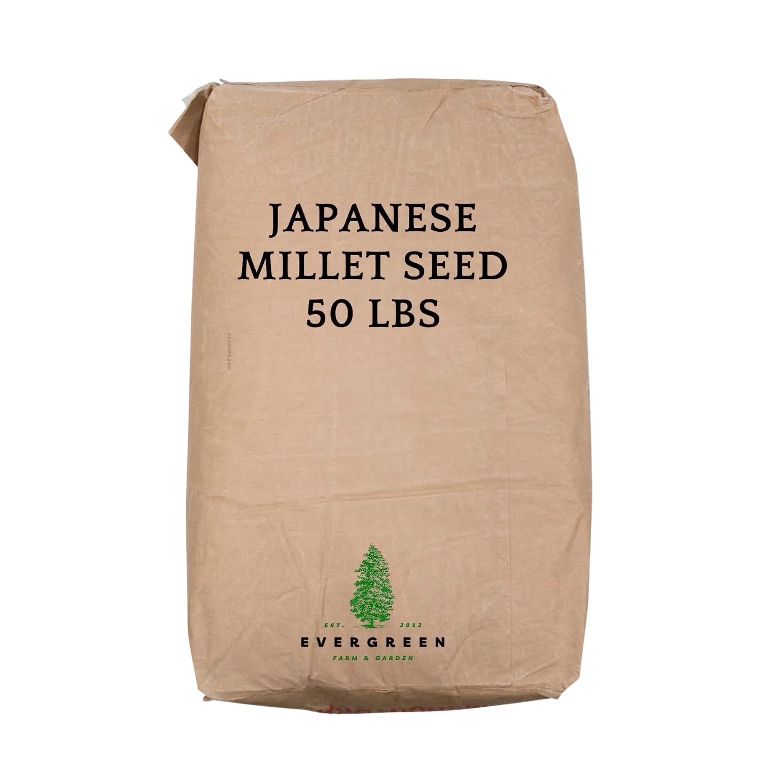 Amazon.com: Premium Japanese Millet Seed 50 lbs - Fast-Growing ...