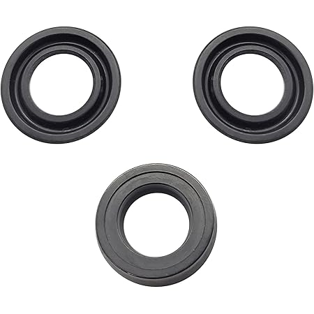 Amazon.com: AR2235 Water Seal Kit for Annovi Reverberi 200345GS ...