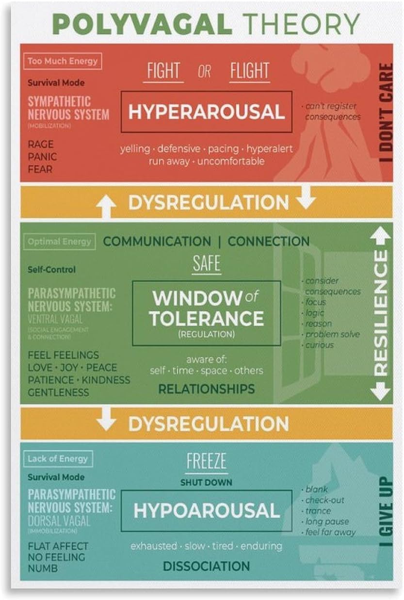 SitrMGH Polyvagal Theory Poster Metal Tin Sign Wall Art for Room 8x12 ...