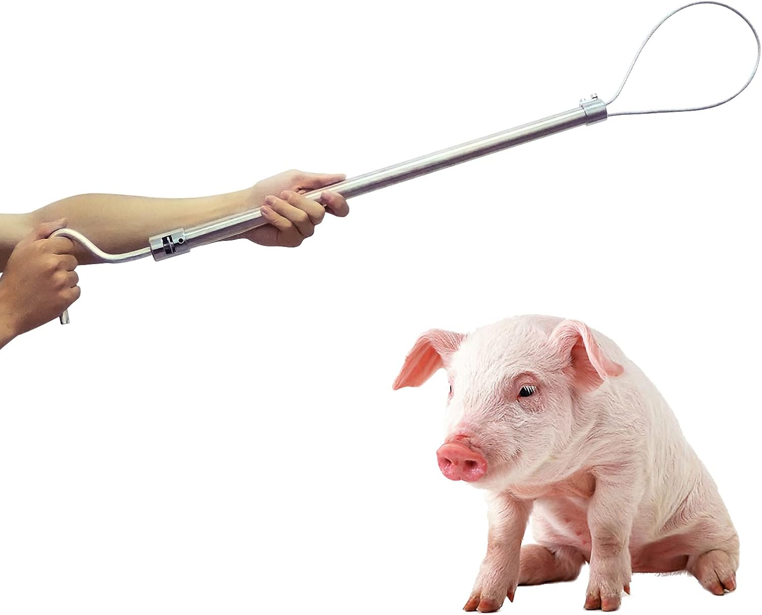 Heavy Duty Hog Catcher Stainless Steel Pig Holder Pig Catcher Pole ...