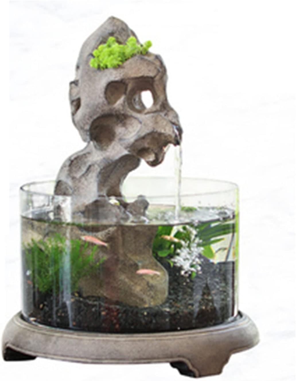 Amazon.com : Fish Bowl Kit Glass Bowl Ceramic Base Fish Tank with Pump ...