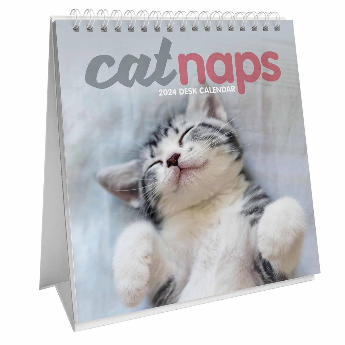Cat Naps Easel Desk Calendar 2024 : Amazon.in: Office Products