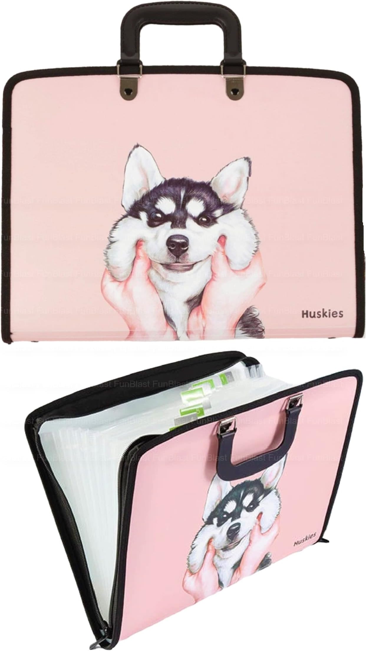 FunBlast File Folder with Handle and Push Lock – Office Documents File ...