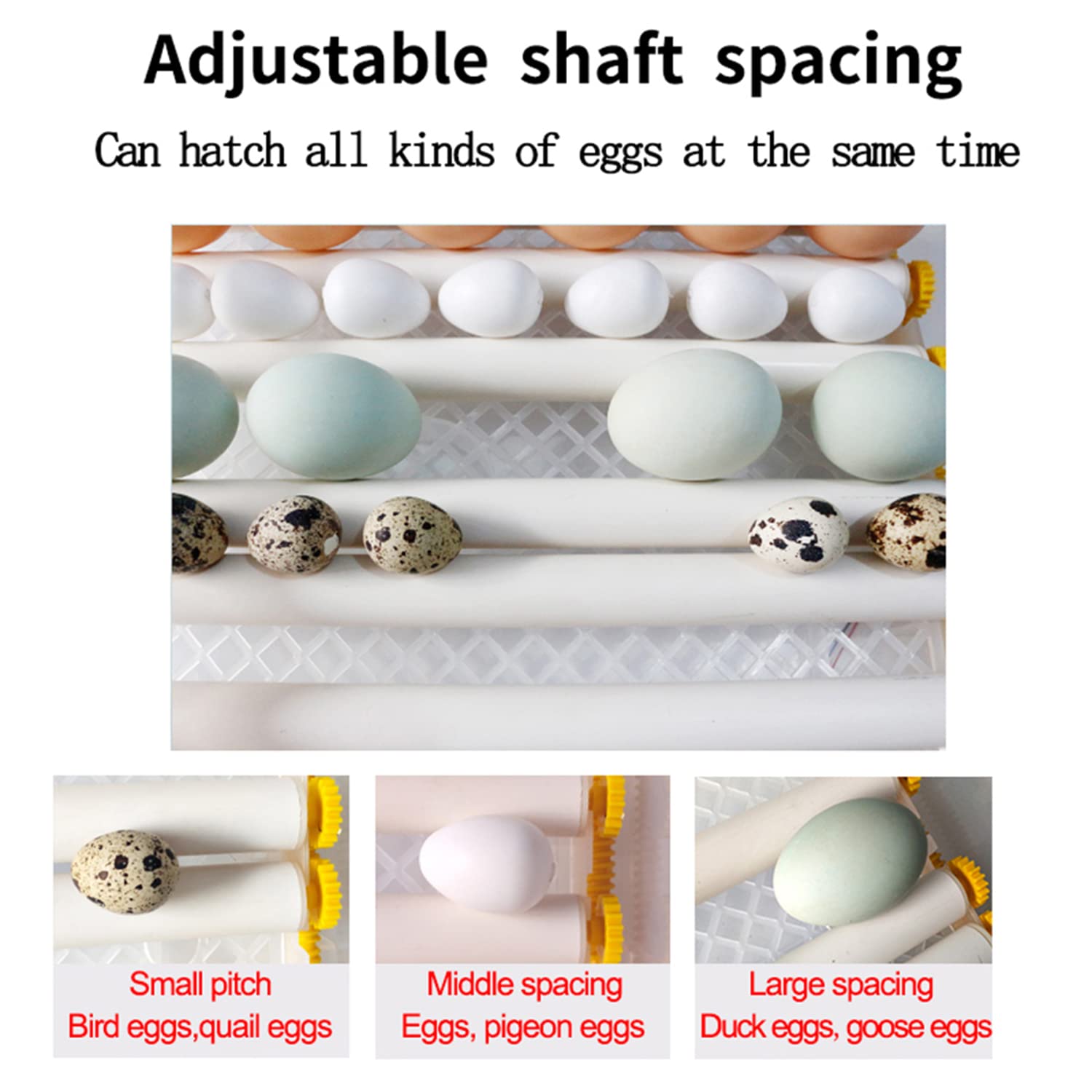 Incubadoras de huevos AKWIN Incubadora automática de pollo, codorniz y ...