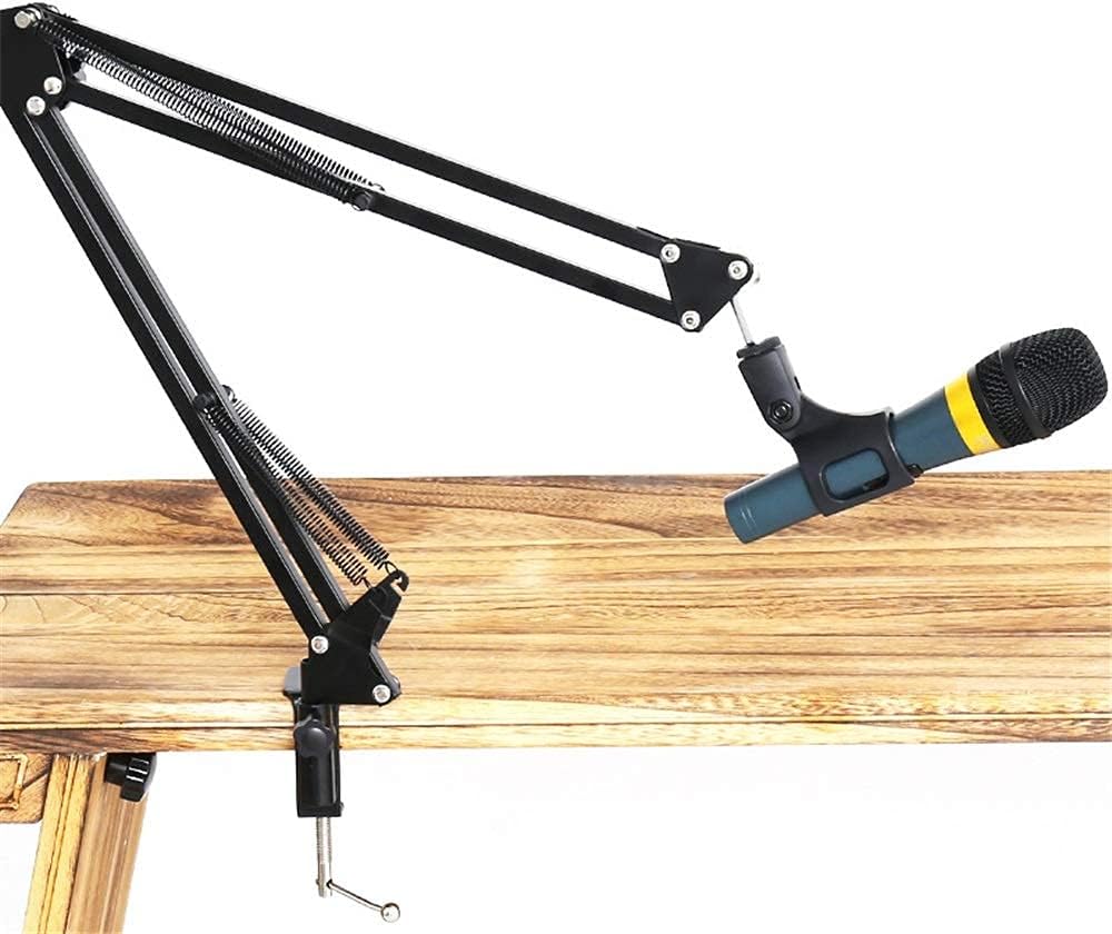 Amazon.com: Microphone Stand Guitar Playing Singing Recording Solo ...