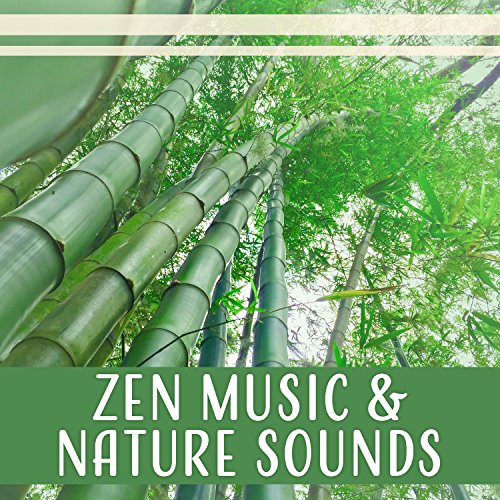 Play Zen Music & Nature Sounds - 50 Yoga Meditation Tracks for Stress ...