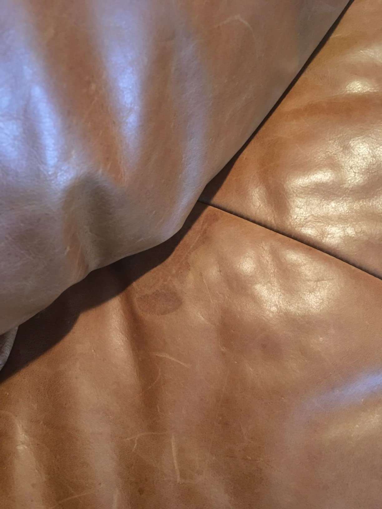 $116/mo - Finance POLY & BARK Napa Leather Couch – Right-Facing ...