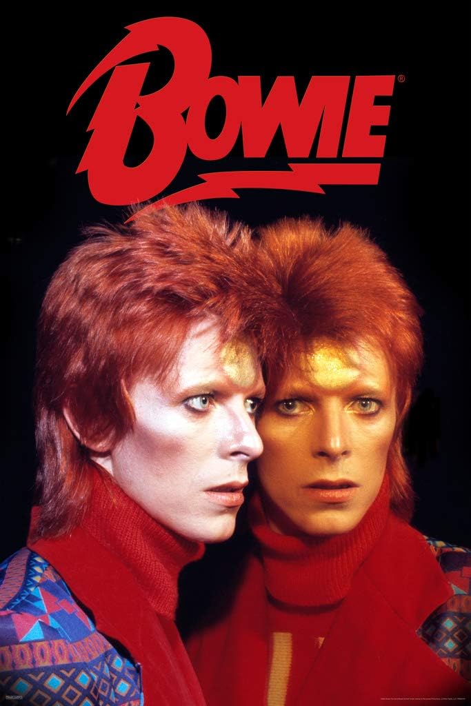 Amazon.com: David Bowie Ziggy Stardust Mirror Radio City 1973 Live ...
