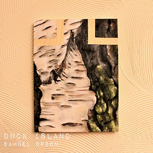 Amazon.com: Duck Island : Samuel Orson: Digital Music