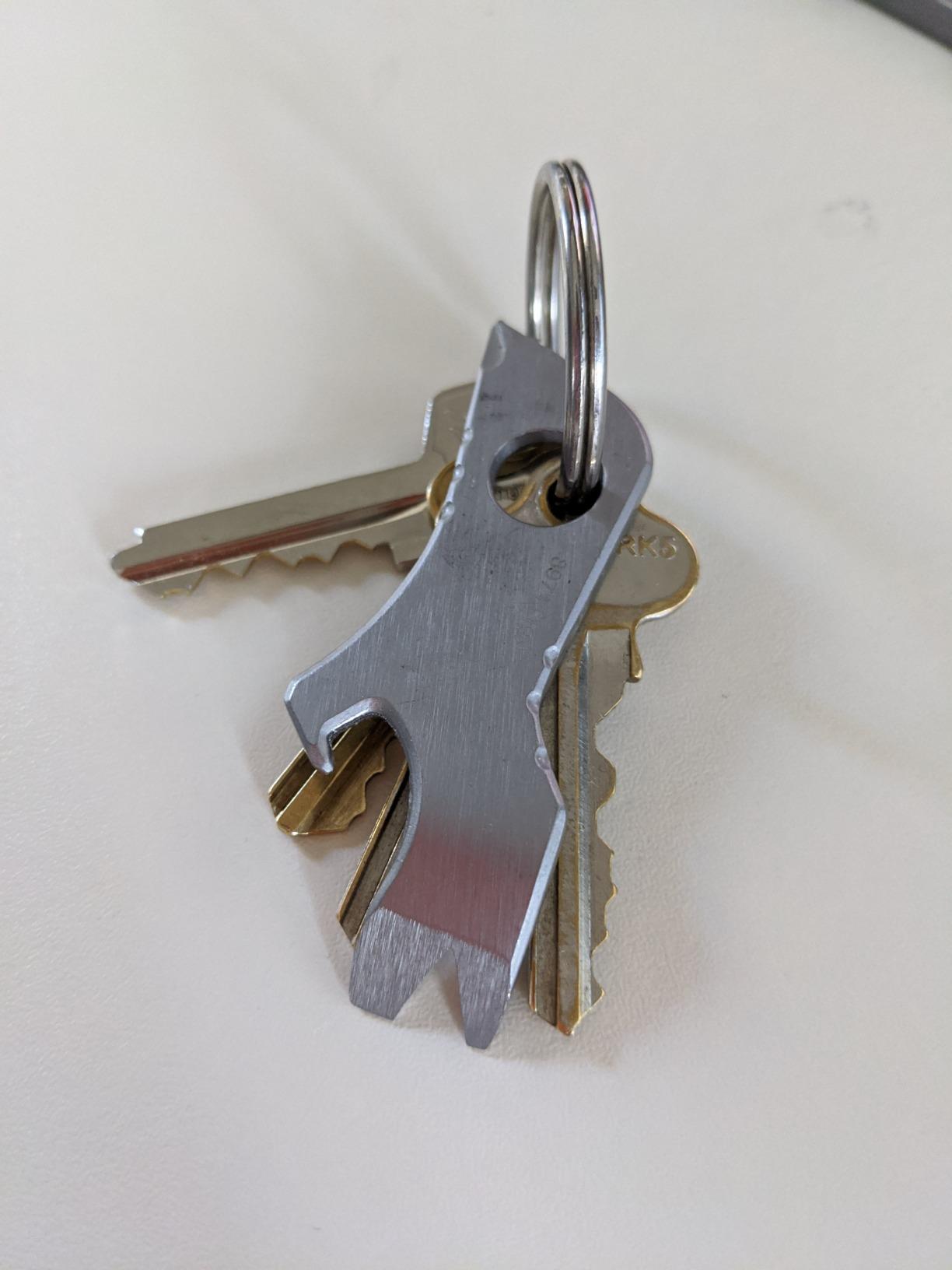 Gerber Gear Gerber Shard Keychain Tool - Silver [30-001501] : Amazon ...
