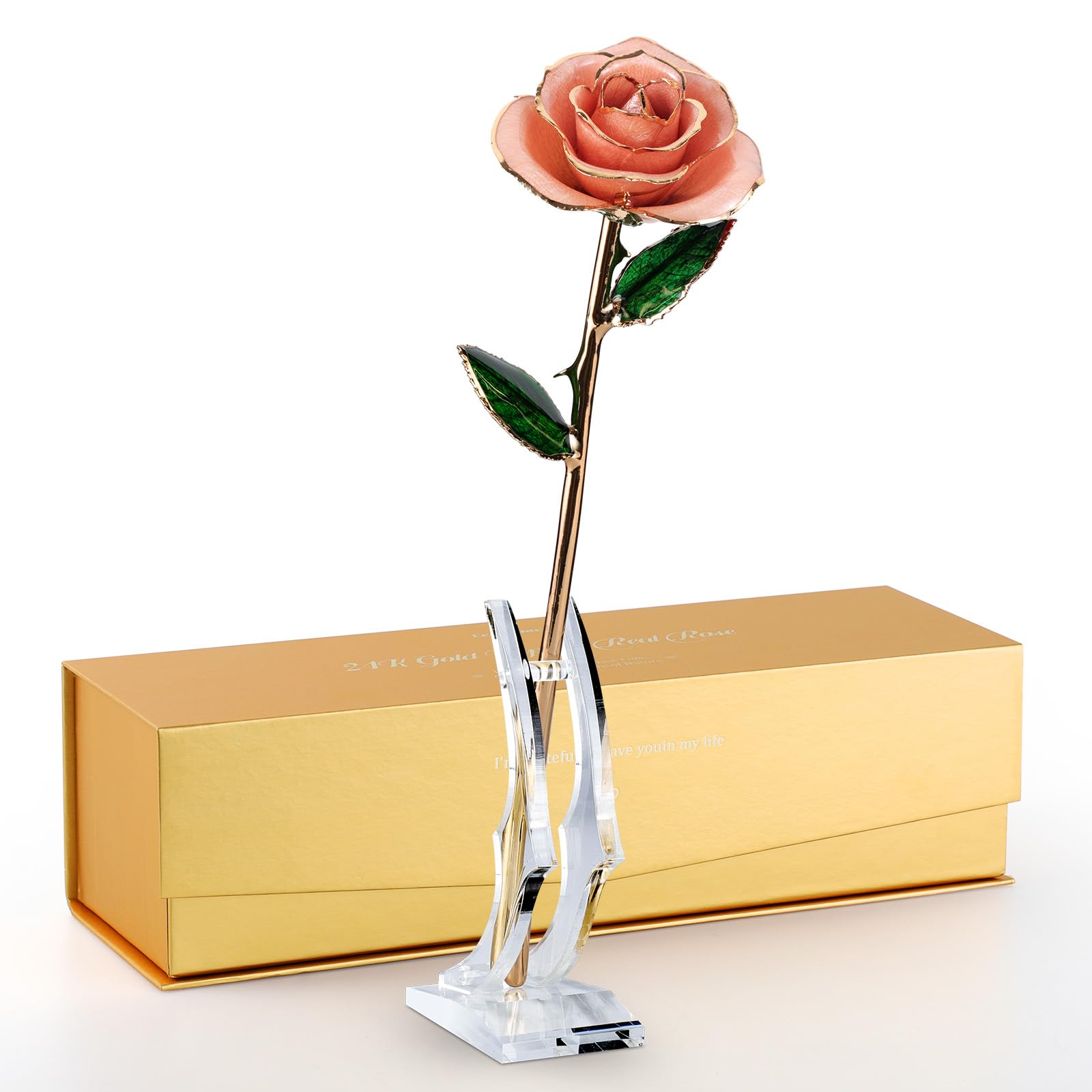 Amazon.com: ECO SPACE Gold Dipped Rose, 24K Gold Rose - Genuine Hand ...