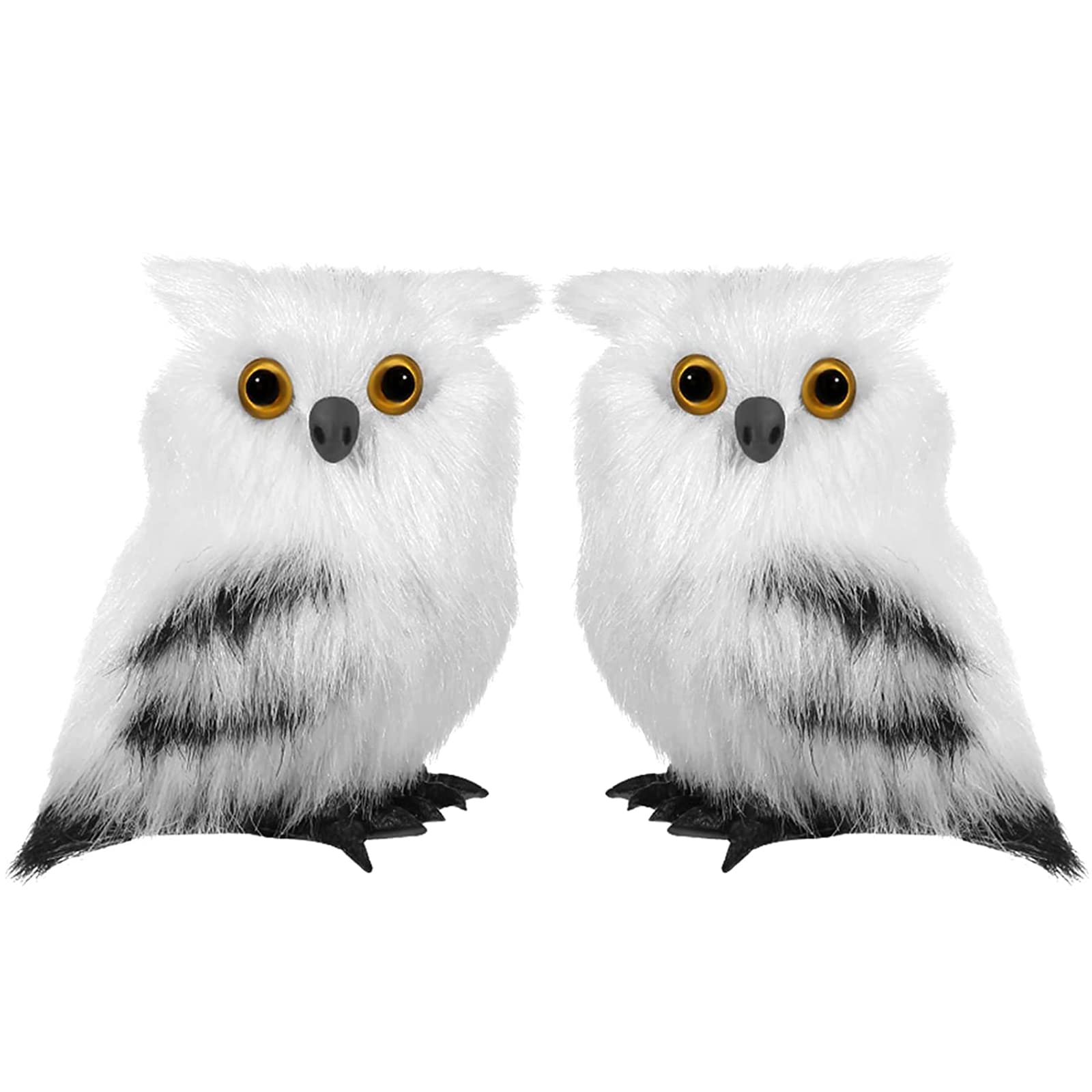 Cute Winter Owl