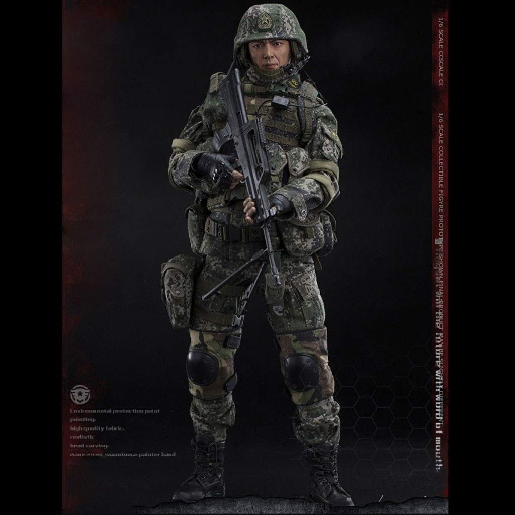 Buy Hmy Army 1/6 Scale Action Figure, 12 Inch Chinese Peoples's ...