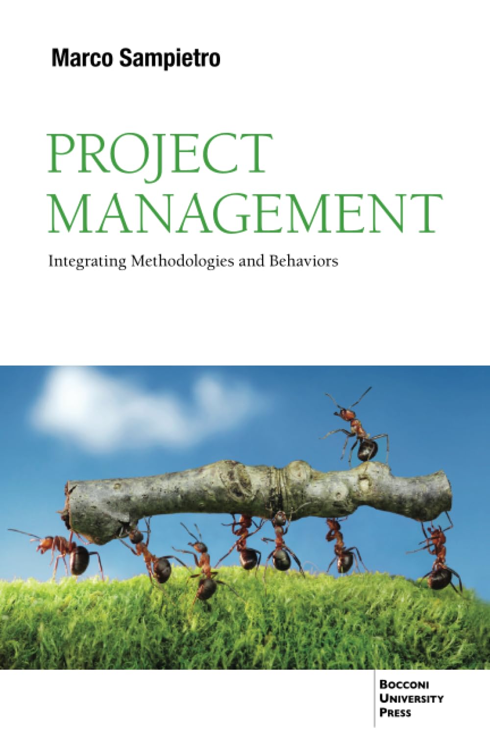 Amazon.com: Project Management: Integrating Methodologies and Behaviors ...
