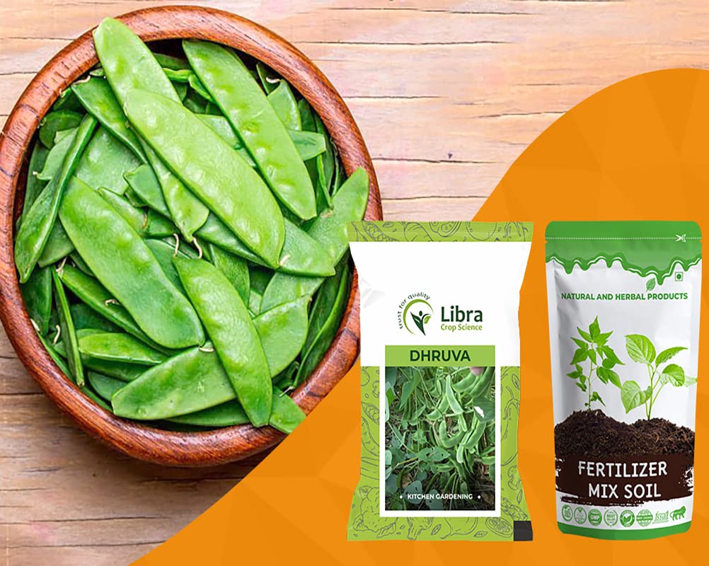 Val Seeds for Planting | Lima Bean | Home Garden | Kitchen | Farming ...