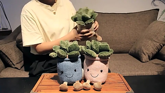 Watch Succulents Plush Toy, Flower Pot Stuffed Plushie Pillow on Amazon ...