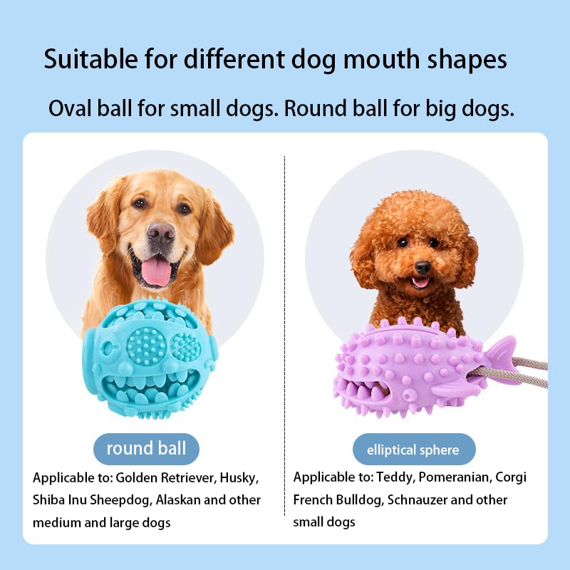 Classic Dog Toy?Can Add Pet Snacks?Durable Dog Toys for Aggressive ...