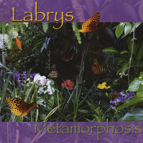 Amazon.co.jp: Metamorphosis : Labrys: Digital Music