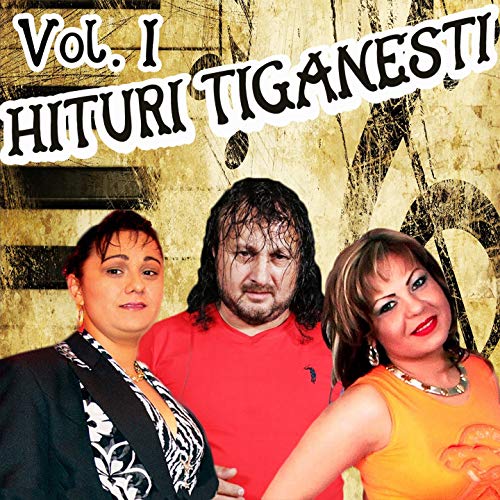 Amazon.com: Hituri Tiganesti, Vol. 1 : VARIOUS ARTISTS: Digital Music