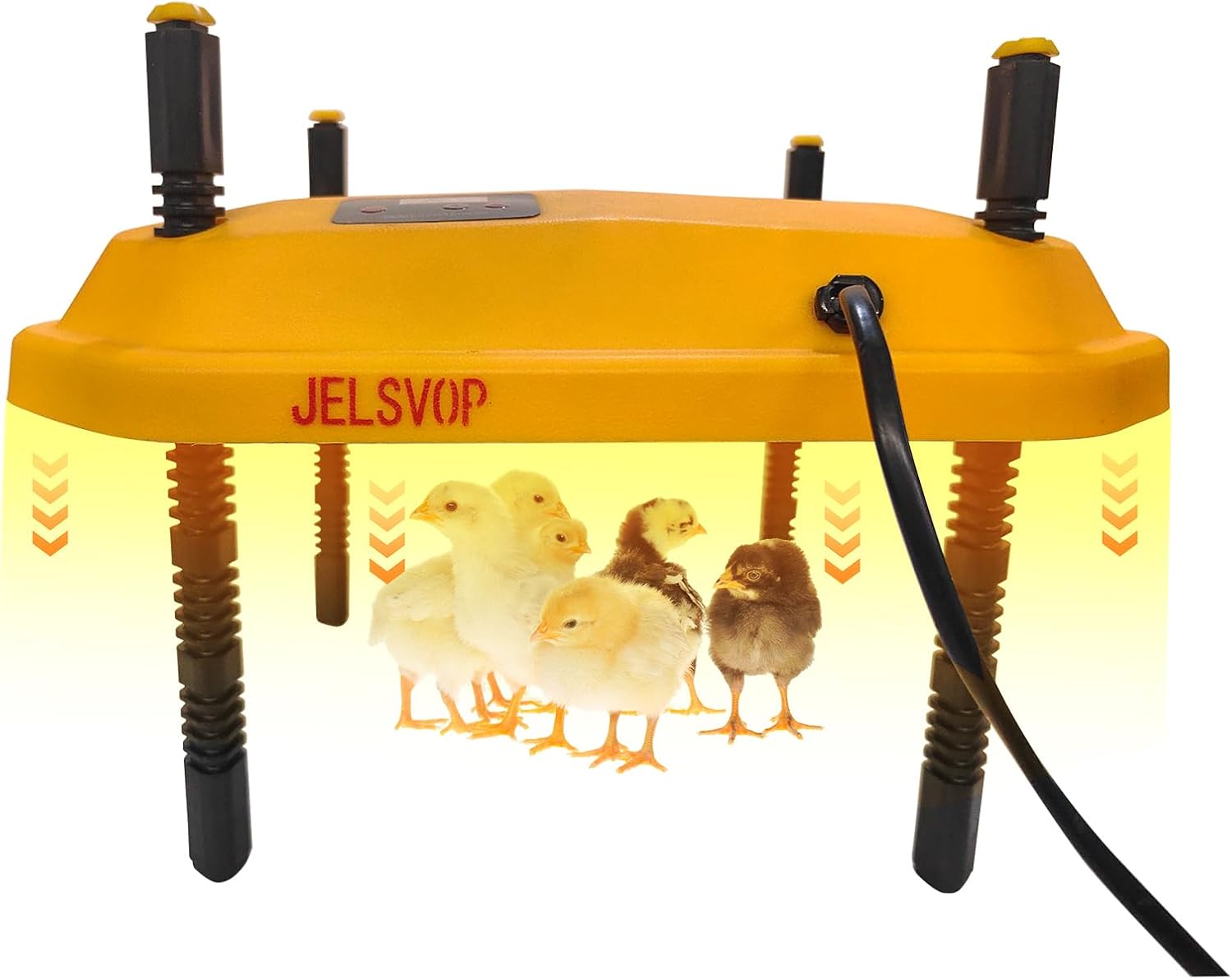 Amazon.com: JELSVOP Coop Chick Brooder Heating Plate Brooder Heat Plate ...