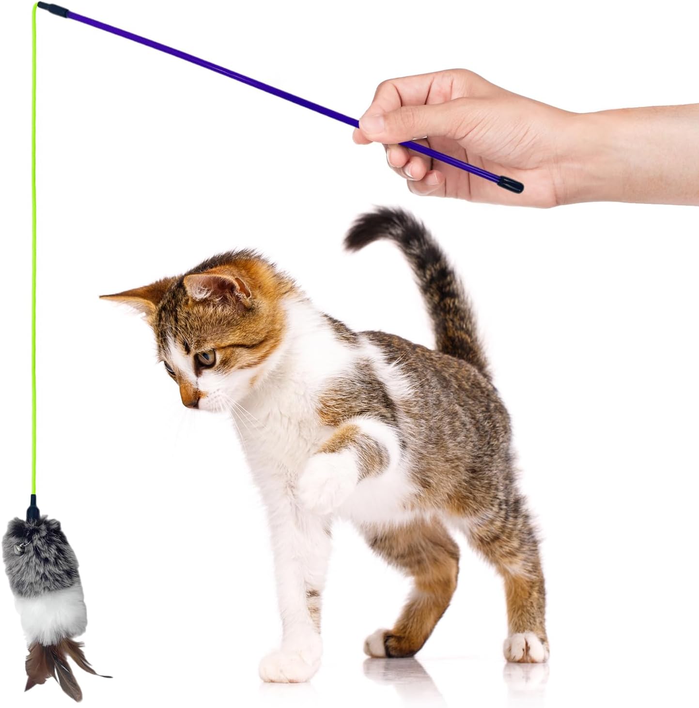 Amazon.com : Interactive Cat Toy Wand with Feather and Bell- Vibrant ...