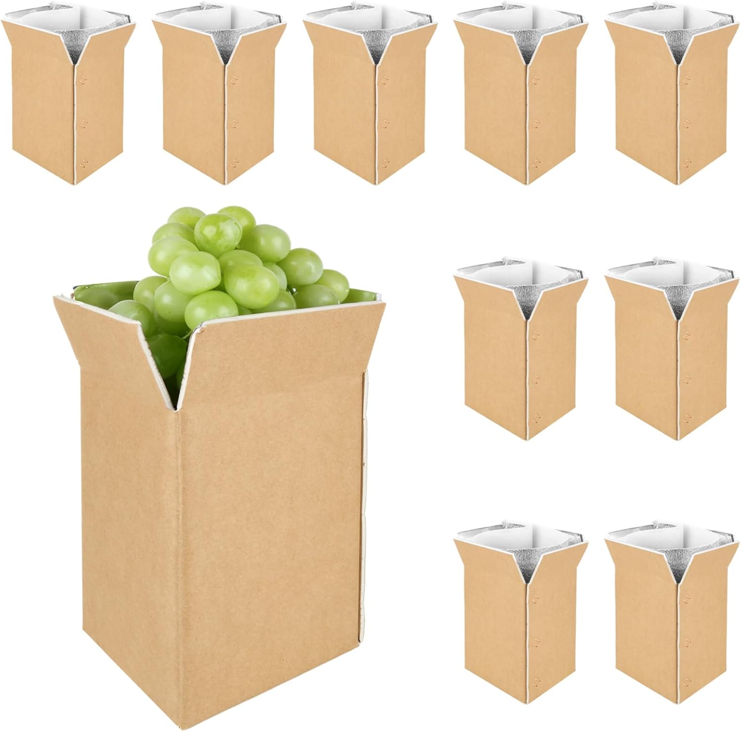 Amazon.com: MUXHEL 8 Pack Double Insulated Shipping Box, 9"x6"x5" Cold ...