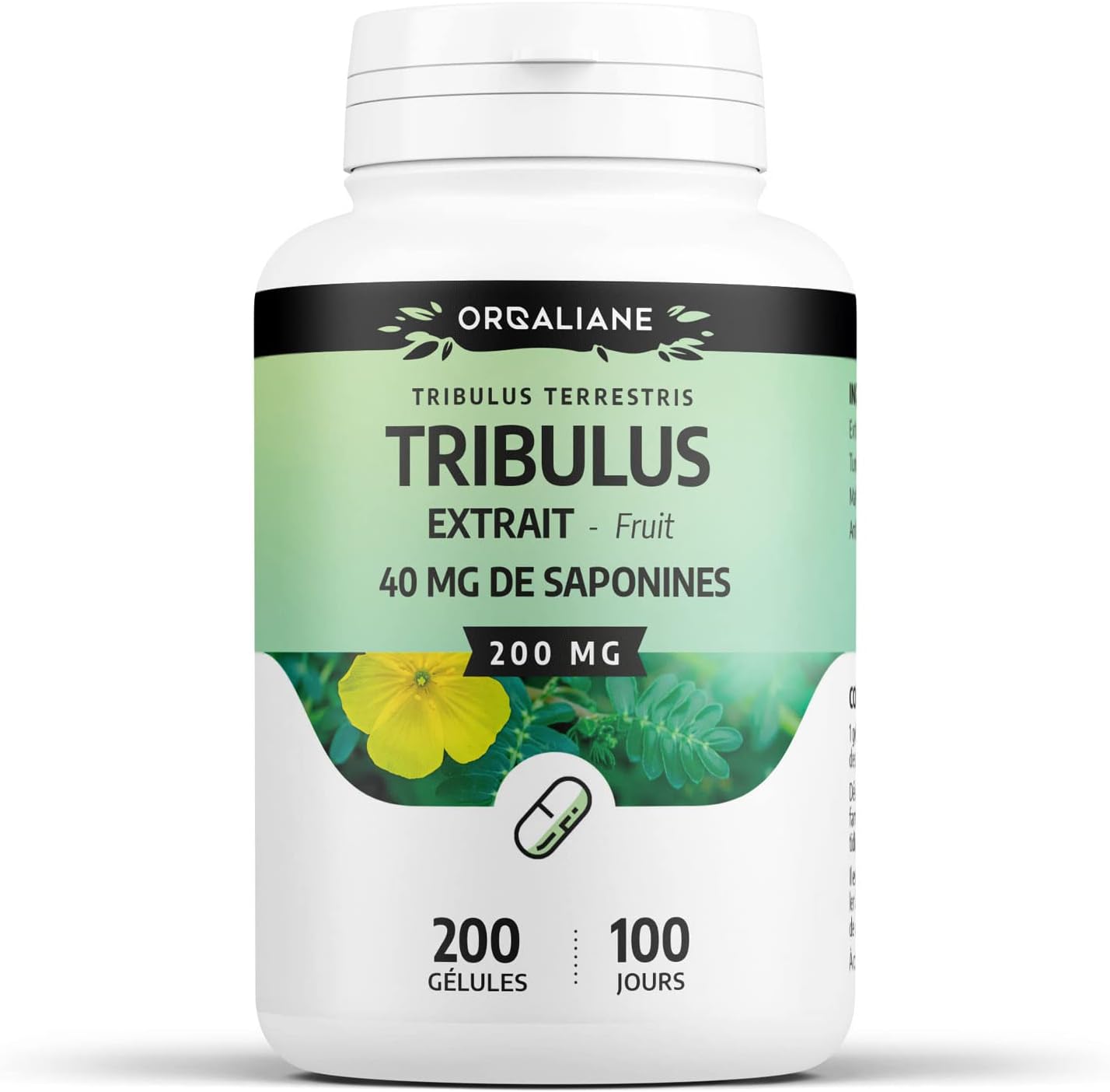 Tribulus 200mg - 200 gélules : Amazon.fr: Hygiène et Santé