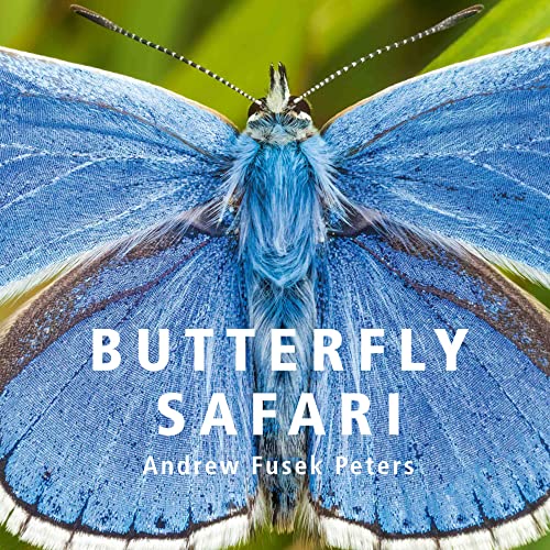 Amazon.com: Butterfly Safari eBook : Fusek Peters, Andrew: Books