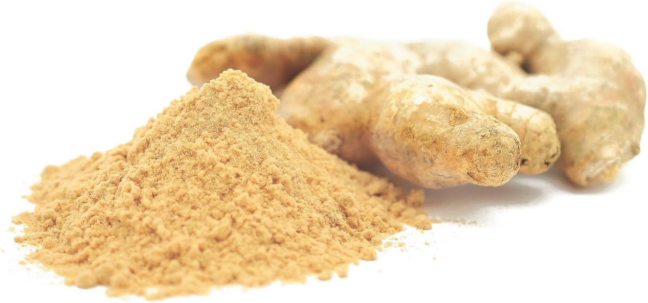 100g Ginger Powder Ground Adrak Sooth Sonth Powder Saunth : Amazon.co ...