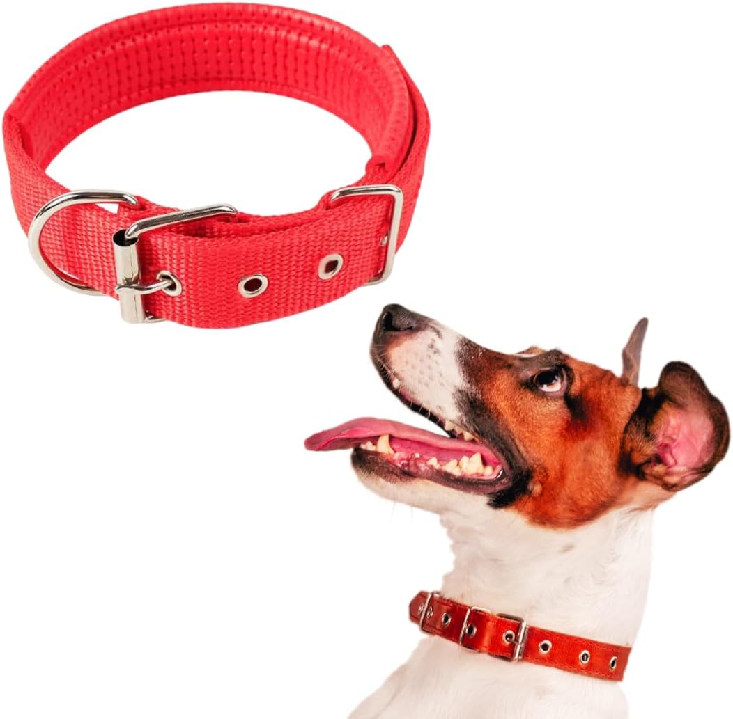 OutZmart Collar para Perro Ajustable Duradero Elegante Suave Acolchado ...