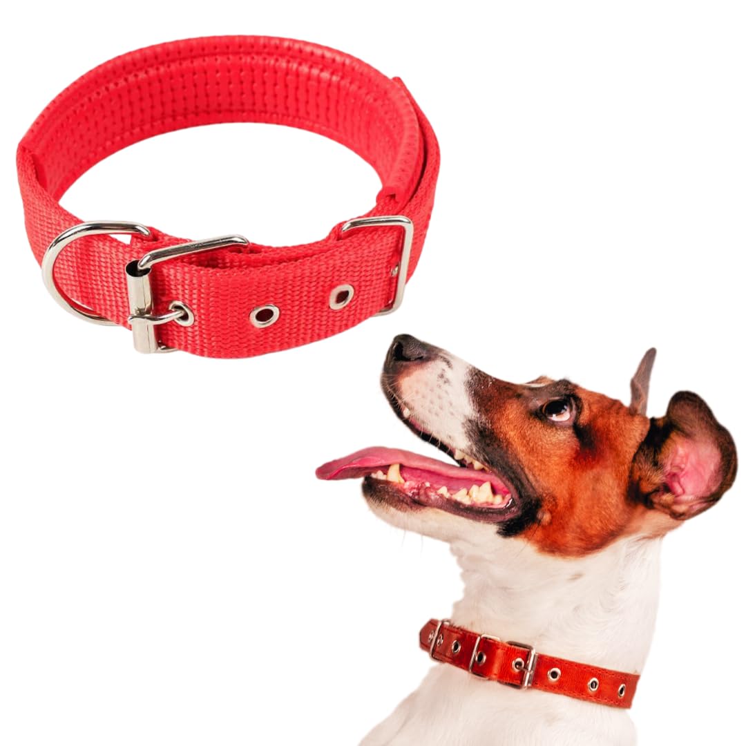 OutZmart Collar para Perro Ajustable Duradero Elegante Suave Acolchado ...