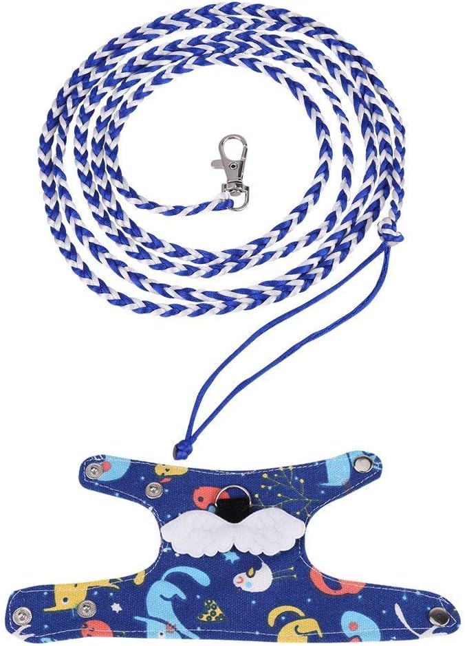 Pet Squirrel Vest Harnesses Cartoon Vest Clothes with Lead Leash for ...