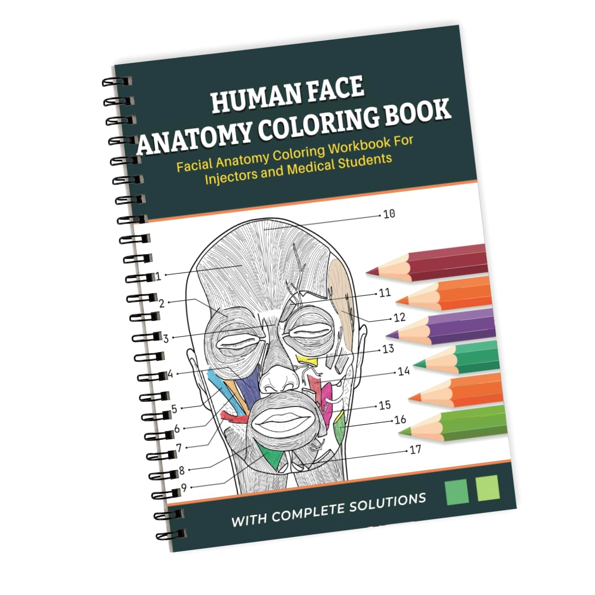 Human Face Anatomy Coloring Book - Facial Anatomy Coloring Workbook For ...