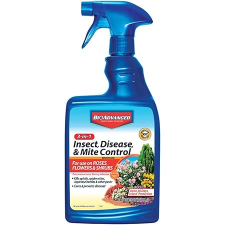 Amazon.com: BioAdvanced Dual Action Rose and Flower Insect Killer ...