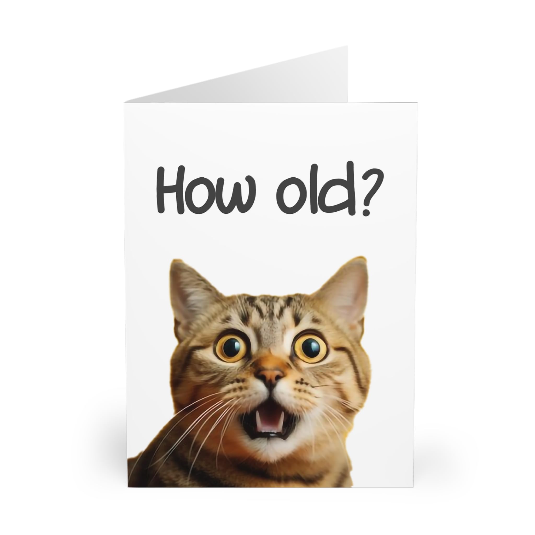 Buon Compleanno Meme Gatto Divertenti