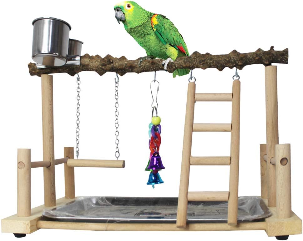 Amazon.com : Parakeet Playground - Natural Wood Bird Playground for ...