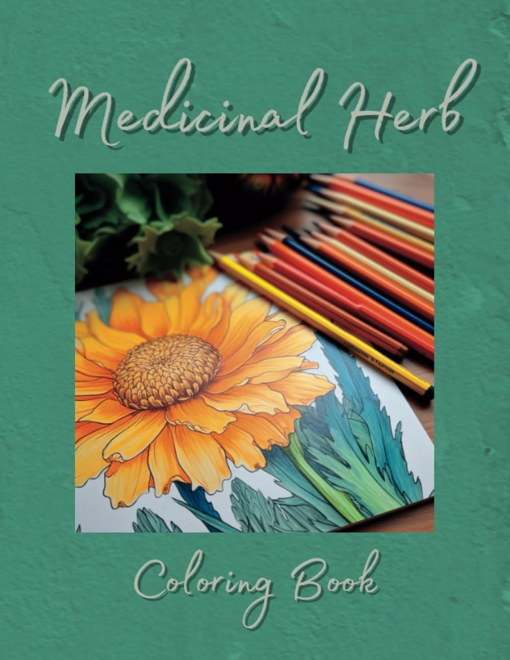 Amazon.com: Medicinal Herb Coloring Book: Color, Connect, and Document ...