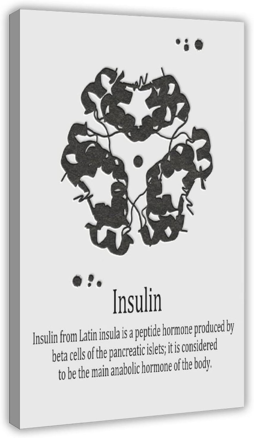 Amazon.com: Insulin Medical Poster Canvas Poster Wall Art Decor Print ...