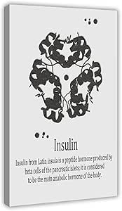 Amazon.com: Insulin Medical Poster Canvas Poster Wall Art Decor Print ...
