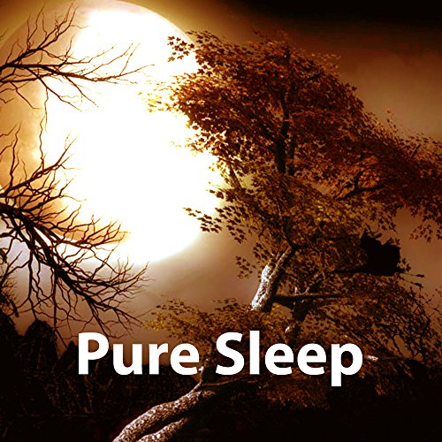 Amazon.com: Pure Sleep – Nature Sounds for Relaxation, Healing Water ...