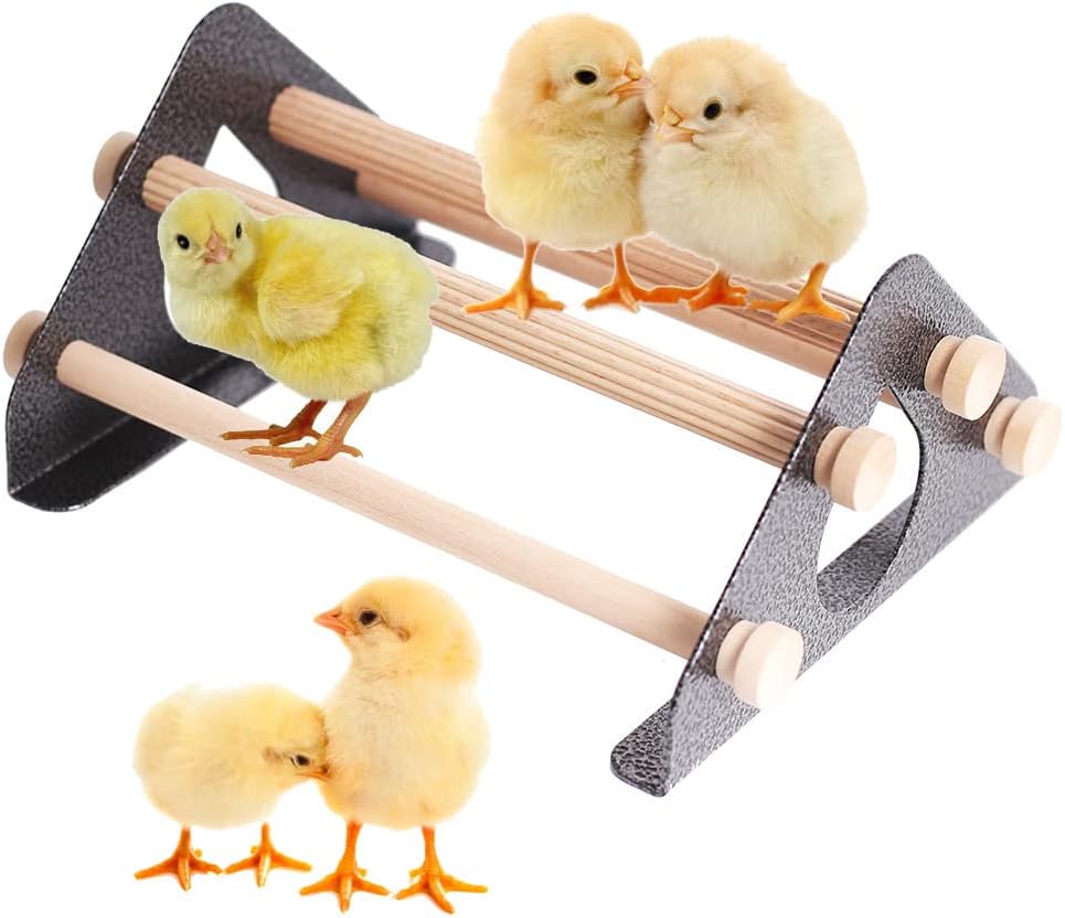 Amazon.com: CuffUp Chicken Perch Chicken Toys for Coop Durable Chick ...