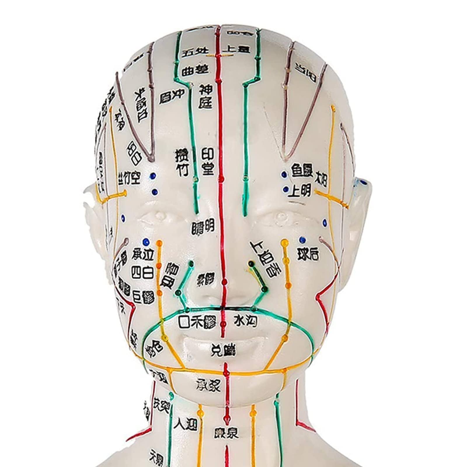Healing Meridians Shoulder Understanding The Body Meridians