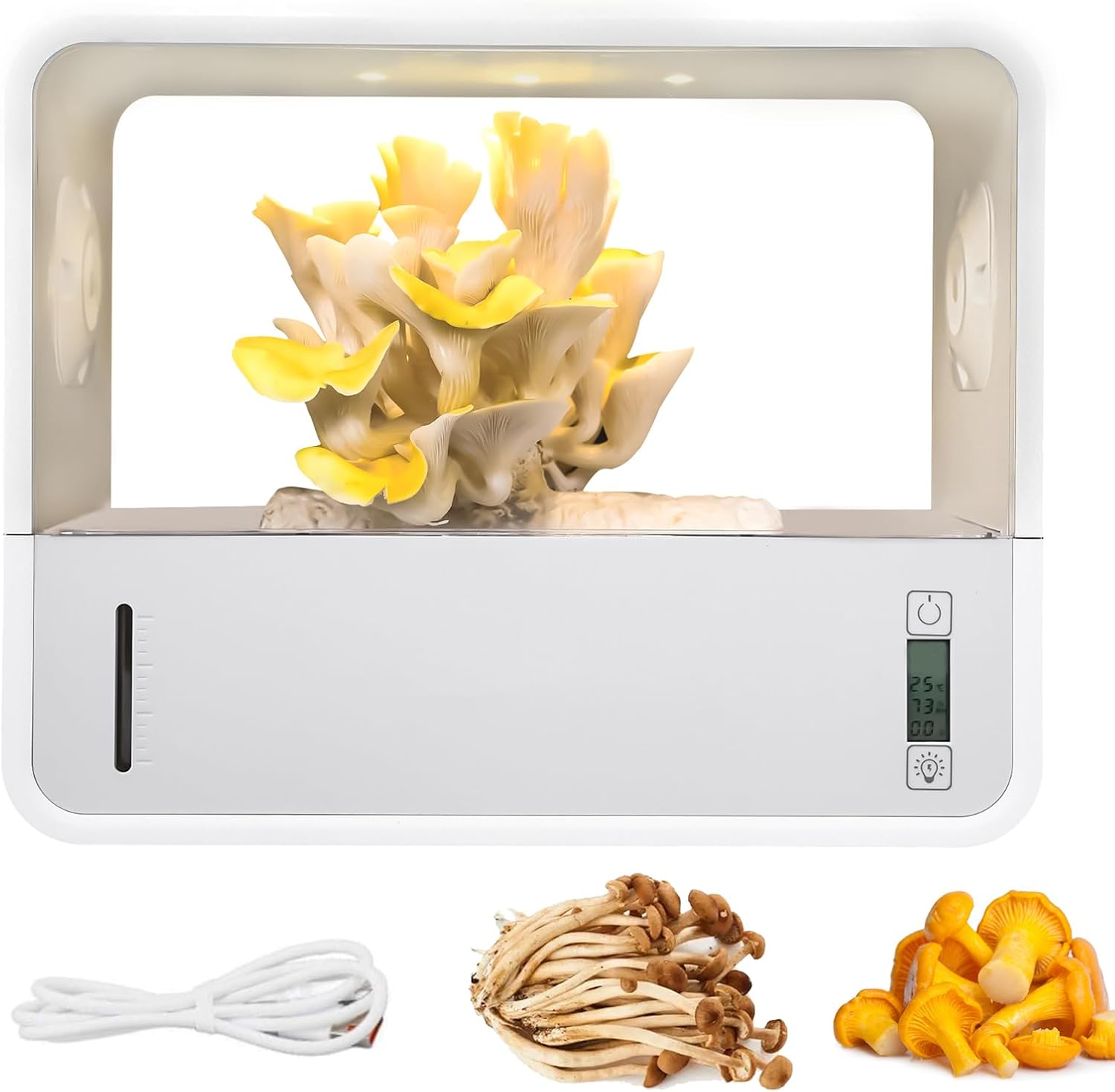 Mushroom Grow Tent, Mushroom Growing Tent Smart Soilless Transparent ...