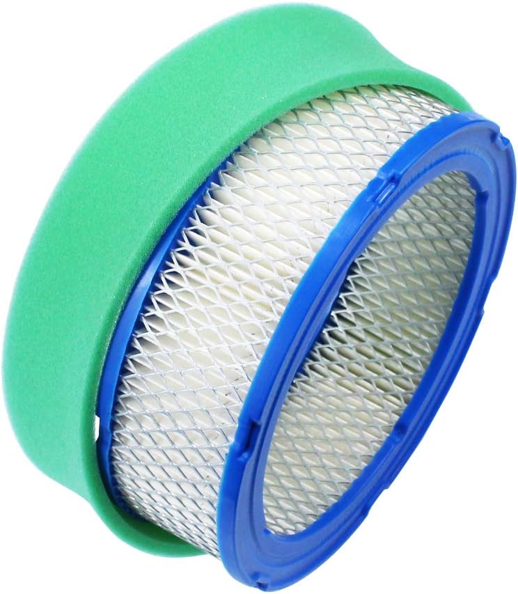 Amazon.com: Briggs & Stratton Genuine 692519 Round Air Filter Cartridge ...