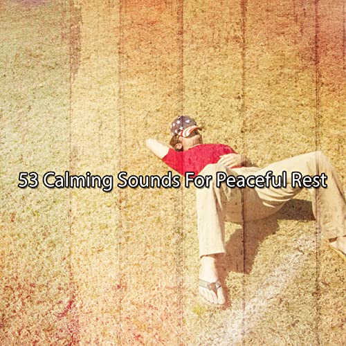 Play 53 Calming Sounds For Peaceful Rest by Sleep Before Midnight on ...