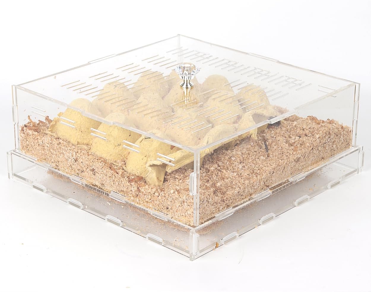 Amazon.com : WOLEDOE Acrylic Superworms Keeper, Mealworms Container fit ...