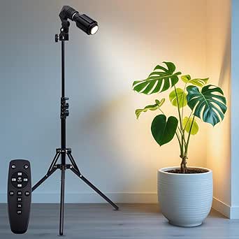 Amazon.com: XINCLING 10W Spot Lights Indoor, 22-63.5” Adjustable Tripod ...
