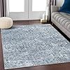 Amazon.com: vivorug 8x10 Area Rugs for Living Room, Non-Slip Backing ...