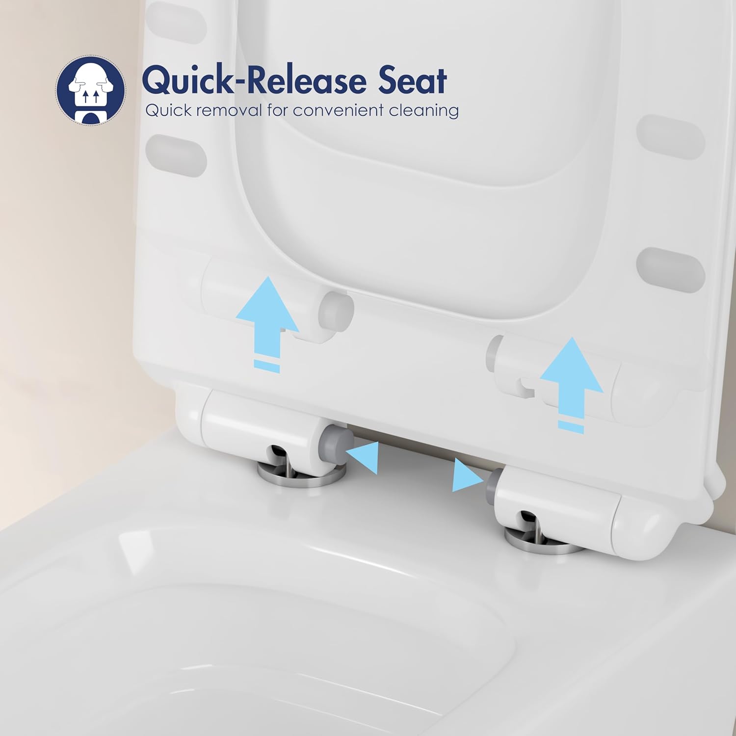 Wall Hung Toilet with Tank, Eridanus Wall Mounted Philippines | Ubuy